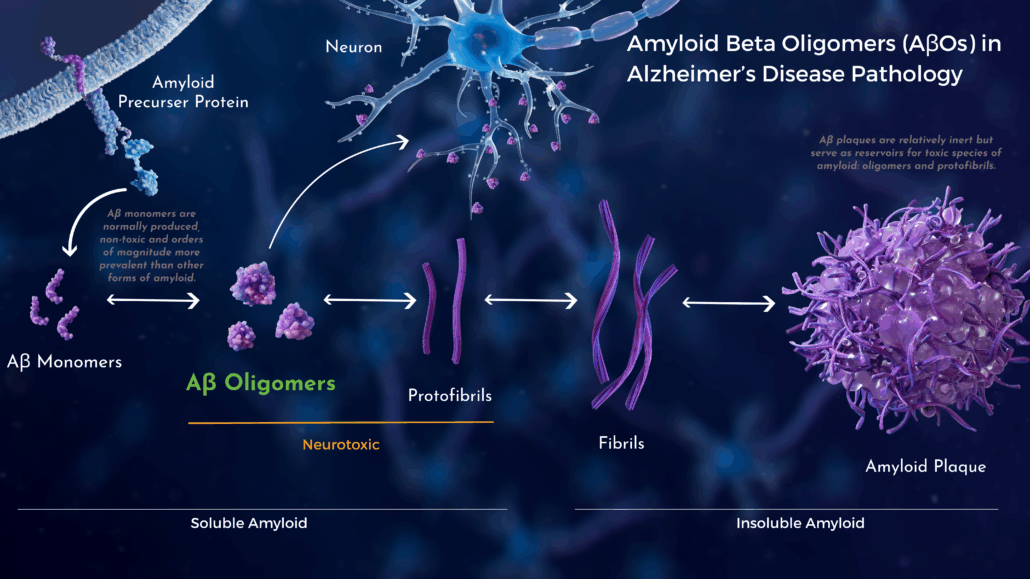 Our Science | Acumen Pharmaceuticals