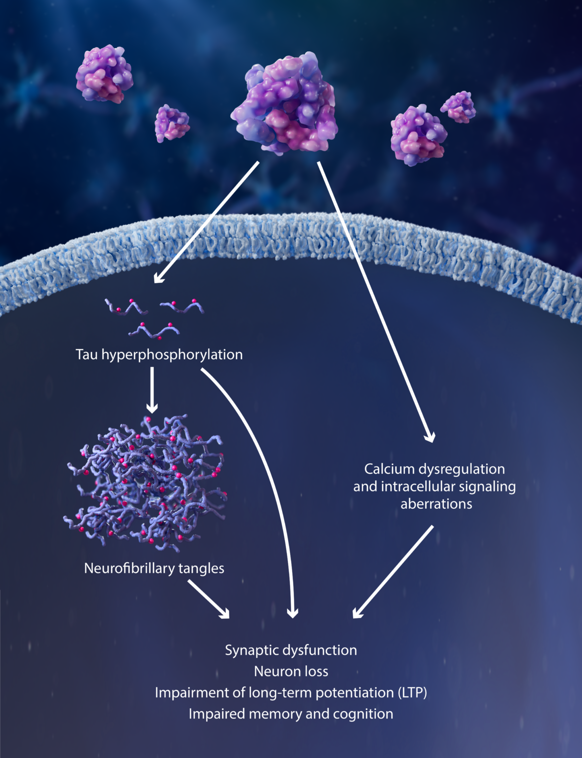Our Science | Acumen Pharmaceuticals