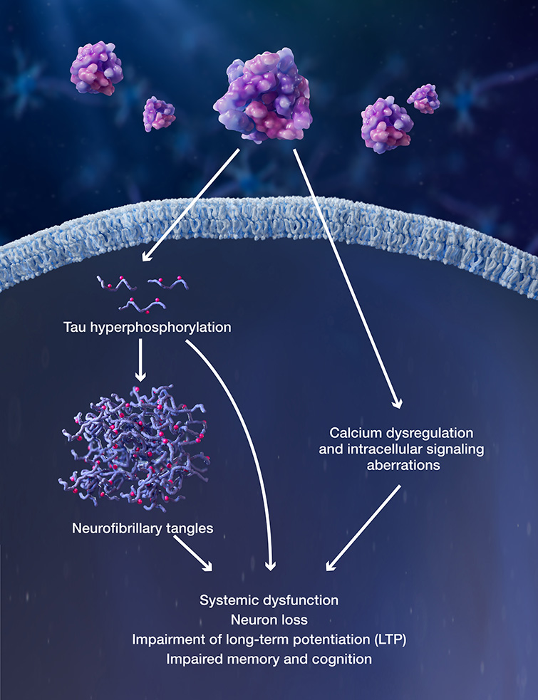 focus_toxic | Acumen Pharmaceuticals