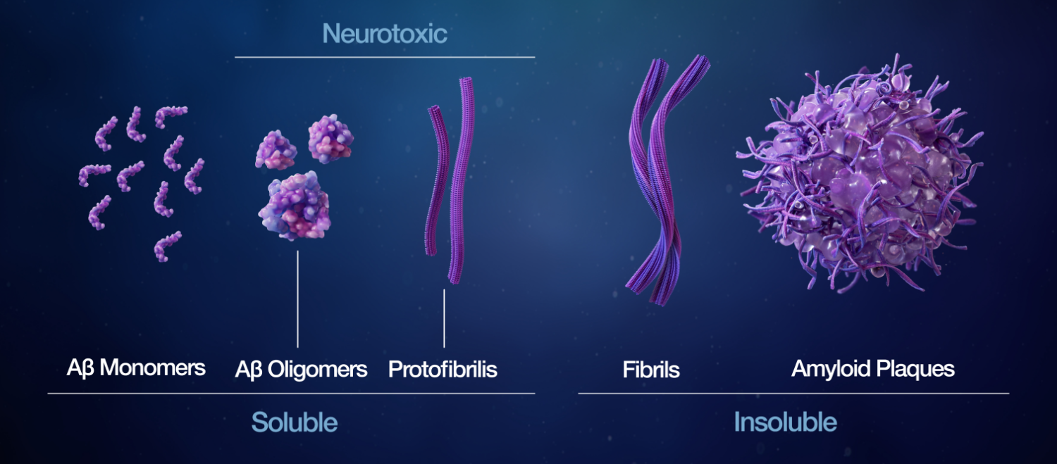 neurotoxic | Acumen Pharmaceuticals